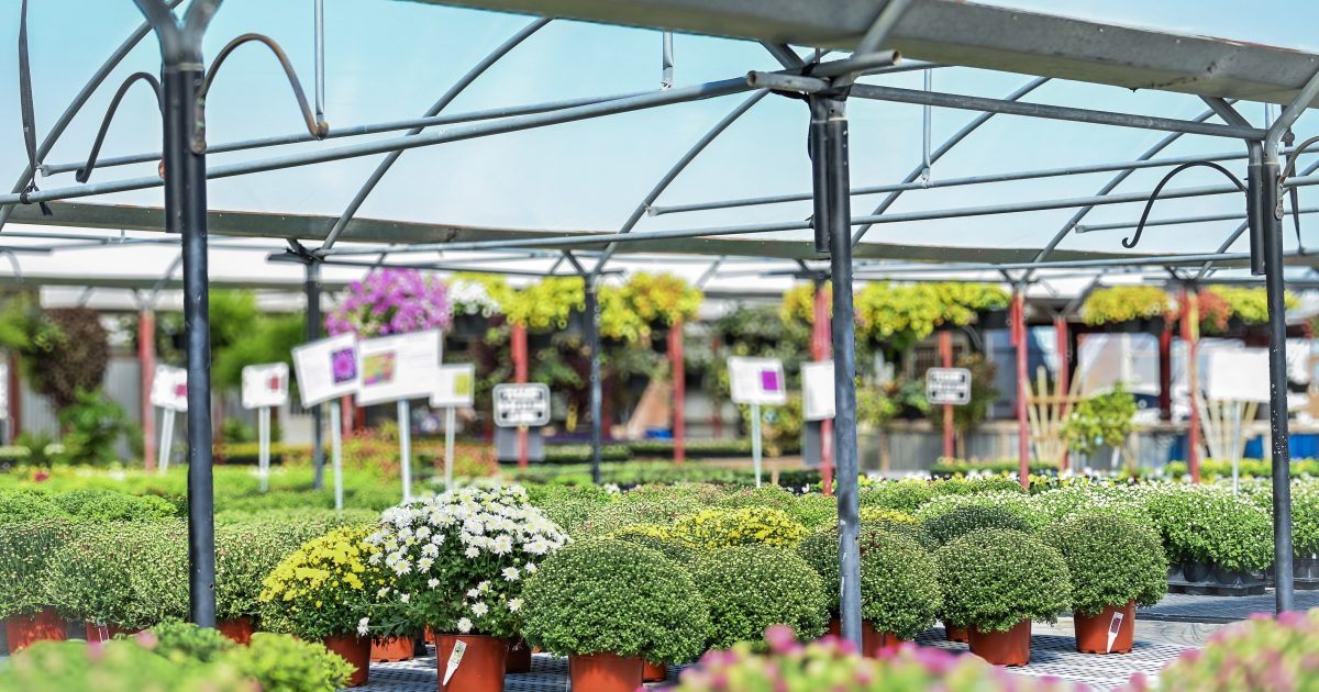 About The Flower Ranch, fine nurseries in Dallas Fort Worth.